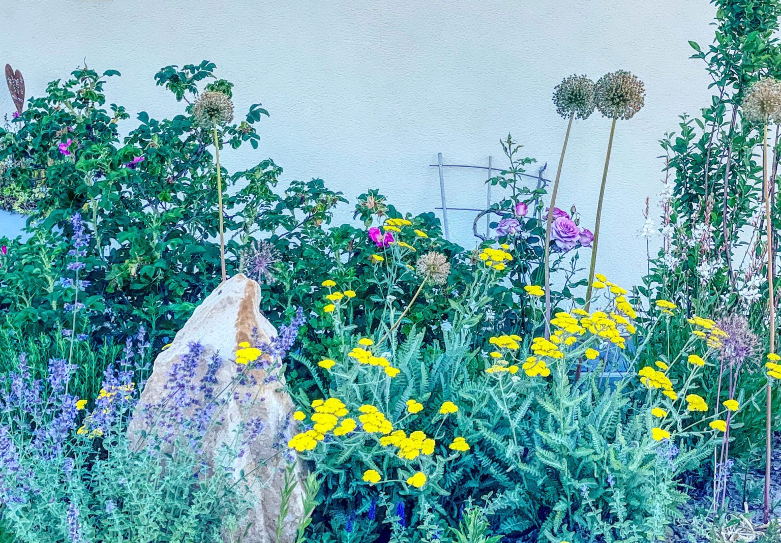 Staudenbeet neu anlegen 8 sehr hilfreichen Tipps